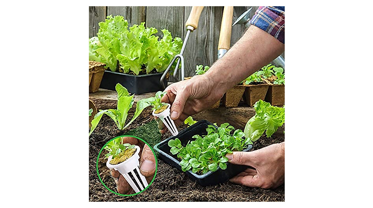Ecoogrower Replacement Grow Baskets for AeroGarden - 50 Pack