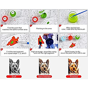TISHIRON Oil Hand Painting Yorkshire Terrier Puppy DIY Paint by Numbers Cute Dog Painting on Canvas for Adults Beginner Kids Drawing with Brushes Christmas Gift Wall Decorations 16'' W x 20'' L