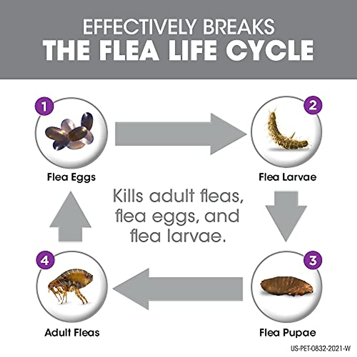 FRONTLINE Plus for Dogs Flea and Tick Treatment (Large Dog, 45-88 lbs.) 3 Doses (Purple Box)