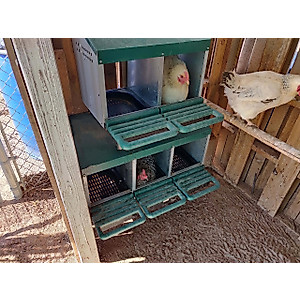 Homestead Essentials 2 Compartment Roll Out Nesting Box for Chickens | Heavy Duty Chicken Coop Nesting Box with Lid Cover to Protect Eggs (with Perch) | for Up to 10 Hens