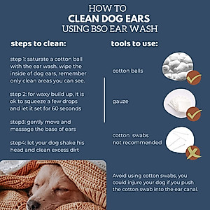 Natural Dog Ear Cleaner Solution - Dog Itchy Ears Treatment - Eliminates Odor & Waxy Buildup - Gentle Dog Ear Wash Formula - Made in Canda by Black Sheep Organics (4 fl oz)