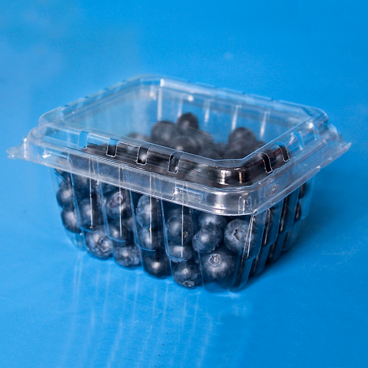 Plastic Berry Baskets (40-Pack) with Clamshell Lids 5-Inch Berry Boxes for Picking Blueberries Raspberries Strawberries Cherry Tomatoes