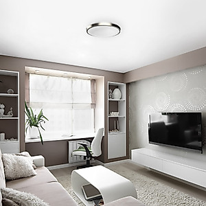 DYMOND LED Ceiling Light Flush Mount 10 Inches | Dimmable | Ring | 3000K/4000K (3000K Warm White, 10 inches)