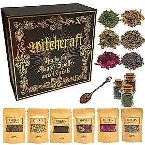 Witchcraft Supplies and Herbs for Spells 25 Premium Fine Dried Botanicals (Large Size) and 3 Crystal Stones for Wicca and Pagan Rituals, Alter Supplies, Magic Spells Green Witchtok by Fidelis
