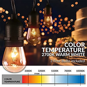 Newhouse Lighting Outdoor String Lights with Hanging Sockets Weatherproof Technology Heavy Duty 48-foot Cord 18 Lights Bulbs Included (3 Free Replacement), Black