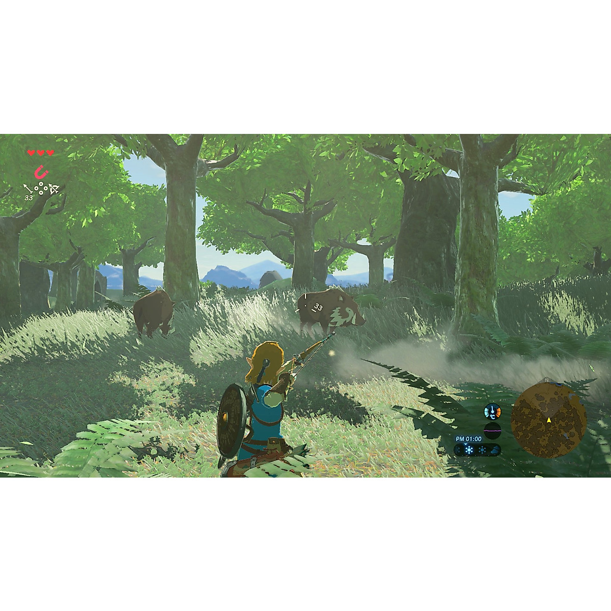 The Legend of Zelda: Breath of the Wild (Non-US Version)