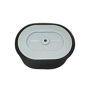 TC-Motor Replacement Filter For Briggs & Stratton 799818 Ca 25T232-0007-F1