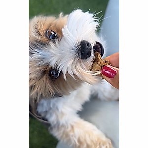 Munchbird Dehydrated Beef Lung Dog Treats (Premium Angus Beef), Dog Training Treats, Excellent Alternative to Freeze Dried Beef Liver Dog Treats for Maximum Crunch and Flavor, Made and Sourced in USA