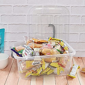 Hommp 8 L Clear Plastic Storage Box, Plastic Latching Box with Lid, 2-Pack