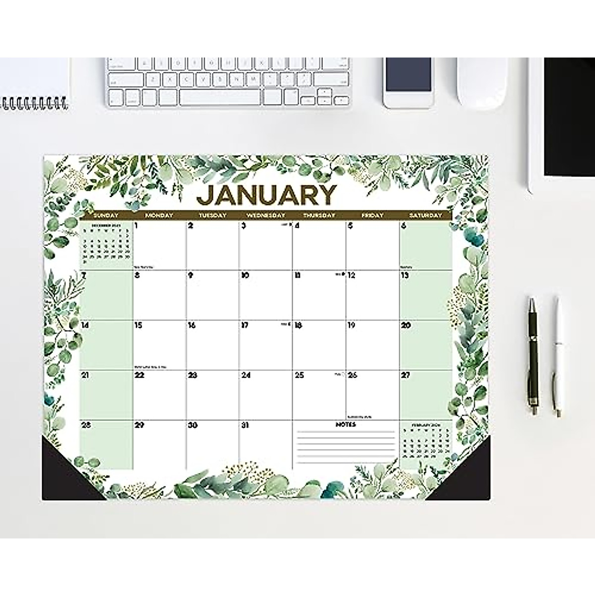 Willow Creek Press Eucalyptus & Succulents Monthly 2024 Deskpad Calendar (22" x 17")