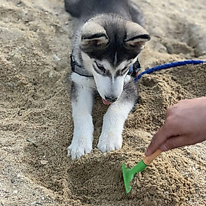 Kids Gardening Tools Set, 6PCS Gardening Tools for Kids Metal with Sturdy Wooden Handle Safe Gardening Tools 8" Children Beach Sandbox Toy