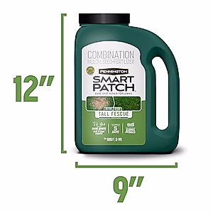 Pennington Smart Patch Tall Fescue Mix Jug 5 lb