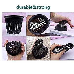 IPXEAD 100PCS 2 Inch Garden Slotted Mesh Net Cups, Round Heavy Duty Net Cups Pots for, Hydroponics Slotted Mesh…