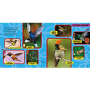 National Geographic Little Kids First Big Book of Birds (National Geographic Little Kids First Big Books)