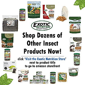 8 oz Dried Crickets - High Protein Insect Treat - Chickens, Wild Birds, Hedgehogs, Bluebirds, Reptiles, Sugar Gliders, Opossums, Skunks, Lizards, Bearded Dragons, Fish, Amphibians, Turtles (1)