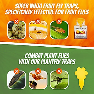 Super Ninja Fruit Fly Traps for Indoors - 2 Traps - Highly Effective Eco-Friendly Fruit Fly Catcher for Indoors - Pet and Child Safe - Up to 3 Weeks per Bottle