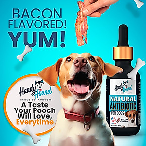 Natural Antibiotics for Dogs – Gentle, Effective Dog Antibiotic - Provides Dog Allergy Relief and Dog Itching Skin Relief - Premium Antibiotics for Dogs with Bacon Flavor