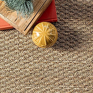 nuLOOM Elijah Natural Seagrass Farmhouse Area Rug, 6' x 9', Beige