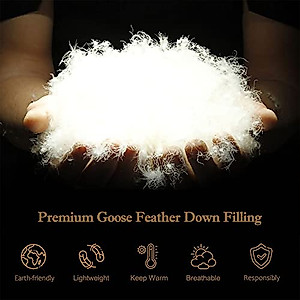 DWR Luxury King Goose Feathers Down Comforter, Ultra-Soft Egyptian Cotton Cover, 750 Fill Power Medium Weight for All Season Hotel Style Fluffy Duvet Insert with Ties (106x90 Inches, White)