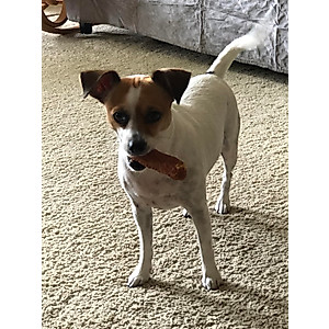 DOGCHEWZ™ Rawhide Free Basted Roll Chicken Wrapped Dog Chew Treats | Size 5 Inch (8 Count/Bag) - Gluten Free