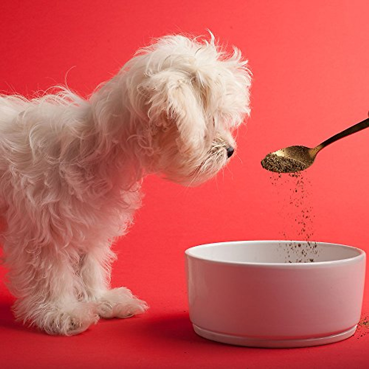 The Missing Link Puppy 8oz Supplement – Superfood Powder Promotes Growth & Development, Supports Immunity, Digestion, Bones, Skin & Coat of Dog