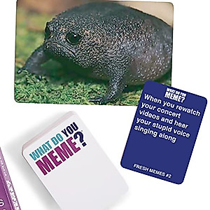 WHAT DO YOU MEME? The Ultimate Expansion Pack Bundle