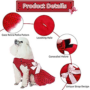 MAZORT Dog Dresses for Dogs Girl, Cute Retro Polka Dot Puppy Tutu Princess Dress, Soft Pregnant Pet Clothes with Adjustable Bowknot for Birthday Party (X-Small)