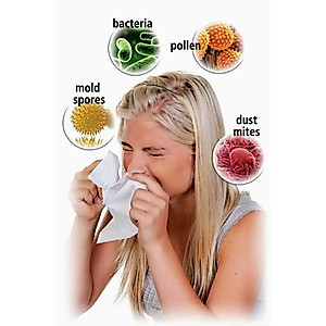 HPA300 Carbon Pre Filter Replacement (6 Pack) Precut for Honeywell HPA300 HEPA Air Purifiers, Made in USA