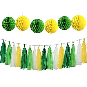 Autupy 26PCS Yellow Green White Party Decorations Yellow Green Party Pom Poms for Bachelorette Engagement Birthday Wedding Baby Bridal Shower Anniversary Garden Tea Party Supplies