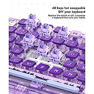 ASHATA Mechanical Keyboard, Transparent Case 80 Keys Keyboard, Triple Modes Gasket Structure Gaming Keyboard for Office School Game