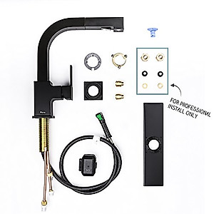 Pfister Arkitek Kitchen Faucet with Pull Out Sprayer, Single Handle, High Arc, Stainless Steel Finish, LG534LPMS