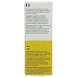 Hilton Herbs Kitty KD Herbal Supplement for Optimum Renal Function in Cats, 1.69 fl oz ( 50 ml ) Bottle