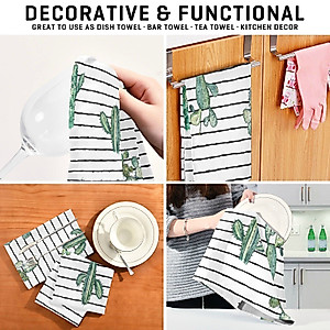 senya Kitchen Towels 4 Pack Kitchen Dish Towels Reusable Cleaning Cloths Vector Cactus Absorbent Tea Towels Machine Washable Hand Towels