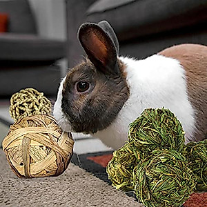 CooShou Small Animals Play Balls Rabbit Rolling Activity Toys Bunny Chewing & Gnawing Treats Toys for Guinea Pigs, Rabbits, Chinchilla, Hamsters 7Pcs