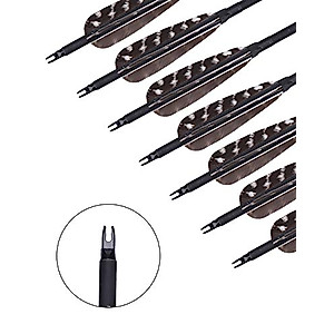 PANDARUS Archery 31-Inch Carbon Hunting Arrows, Turkey Feather Fletching with Replaceable Points, Targeting Practice Arrows Spine 500 for Recurve bow, Longbow, Traditional bow (Black flower)