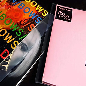 Vinyl Record Sleeves - Outer Album Covers - Protective Storage - Clear Durable Sleeves 25 Count