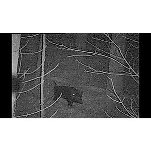 Night Vision Scope Attachment 3D