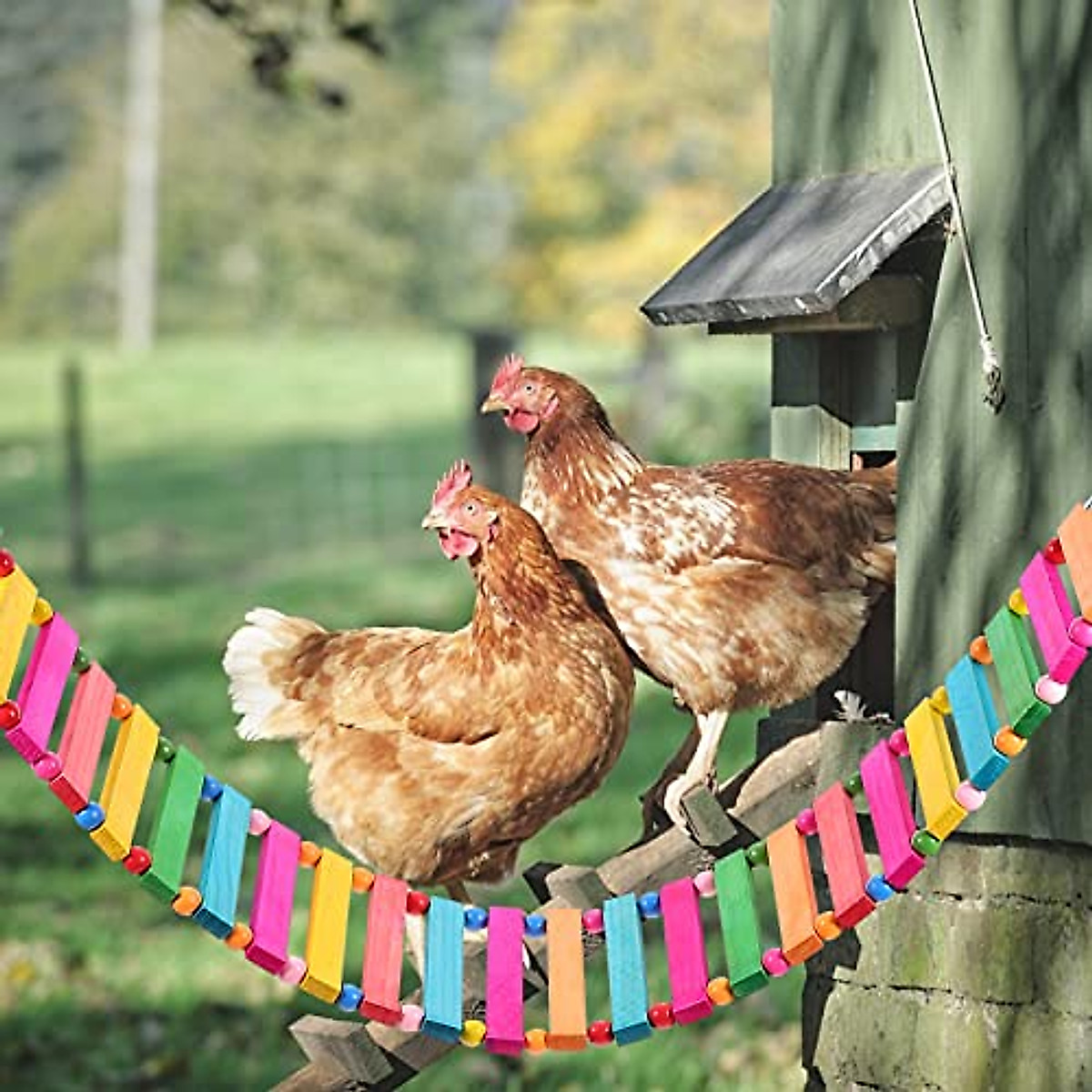 PATKAW Wooden Toys Parrot Toys Parrot Toys of 2 Chicken Swing Toy Pet Chicken Swing Toys Wood Chicken Swing Chicken Swing Toys Chicken Ladder: Climbing Climbing Toys Climbing Toys Parakeet Toys