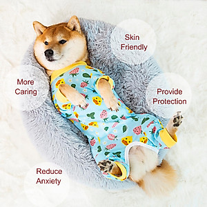 Pupsooft Dog Recovery Suit for Small Medium Large Dogs, Pet Onesie After Surgery Comfort Dog Bodysuit Anti Licking (Small, Blue)