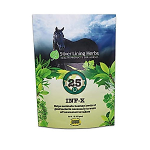 Silver Lining Herbs 25 Equine INF-X - Supports Horse Stress Relief and Healthy Levels of Good Bacteria - Natural Support for Equine Immune System - Herbal Supplement for Equine Detoxification - 1 lb