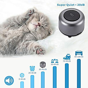 AQQA Aquarium Air Pump Fish Tank Air Pump Quite Aerator Pump Dual Outlets Powerful Adjustable Oxygen Air Pump Hydroponics for Fish Tank Up to 300 Gallon (5W 200GPH)