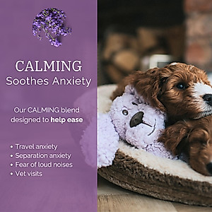 Aromadog Rosewood Calm Fleece Flattie Dog Toy, with Calming Lavender Blend Essential Oils