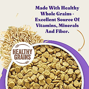 Halo Holistic Adult Dog Healthy Grains Cage-Free Chicken & Brown Rice Recipe Kibble 3.5 lb