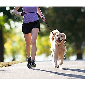 Canine Immune Booster - Immune Support and Health - for Dogs Treats - Premium Advanced Formula - Dog Immune Booster Organic - 180 Treats (3 Bottle)