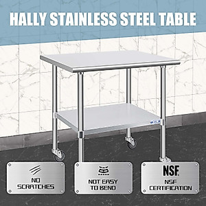 Hally Stainless Steel Table for Prep & Work 30 x 36 Inches with Caster Wheels, NSF Commercial Heavy Duty Table with Undershelf and Galvanized Legs for Restaurant, Home and Hotel