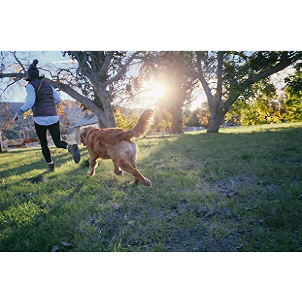 Jolly Pets Tug-n-Toss Heavy Duty Dog Toy Ball with Handle, 8 Inches/Large, Blue