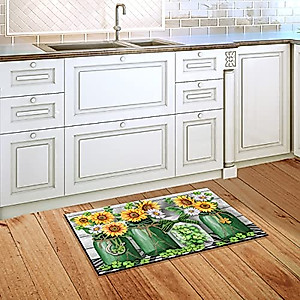 Briarwood Lane Irish Mason Jars St. Patrick's Day Doormat Indoor Outdoor 18" x 30"