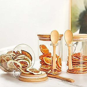 CAMOFOXIN 3 Pack Airtight Overnight Oats Jars, 17oz Glass Jars with Bamboo Lid and Spoon, Sugar Jar Glass Salt Container for Coffee Bean, Spice