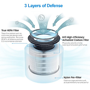 Nicewell Hago-w+s Air True HEPA Purifier Replacement Filter, 3-in-1 Pre-Filter and High-Efficiency Activated Carbon Filter