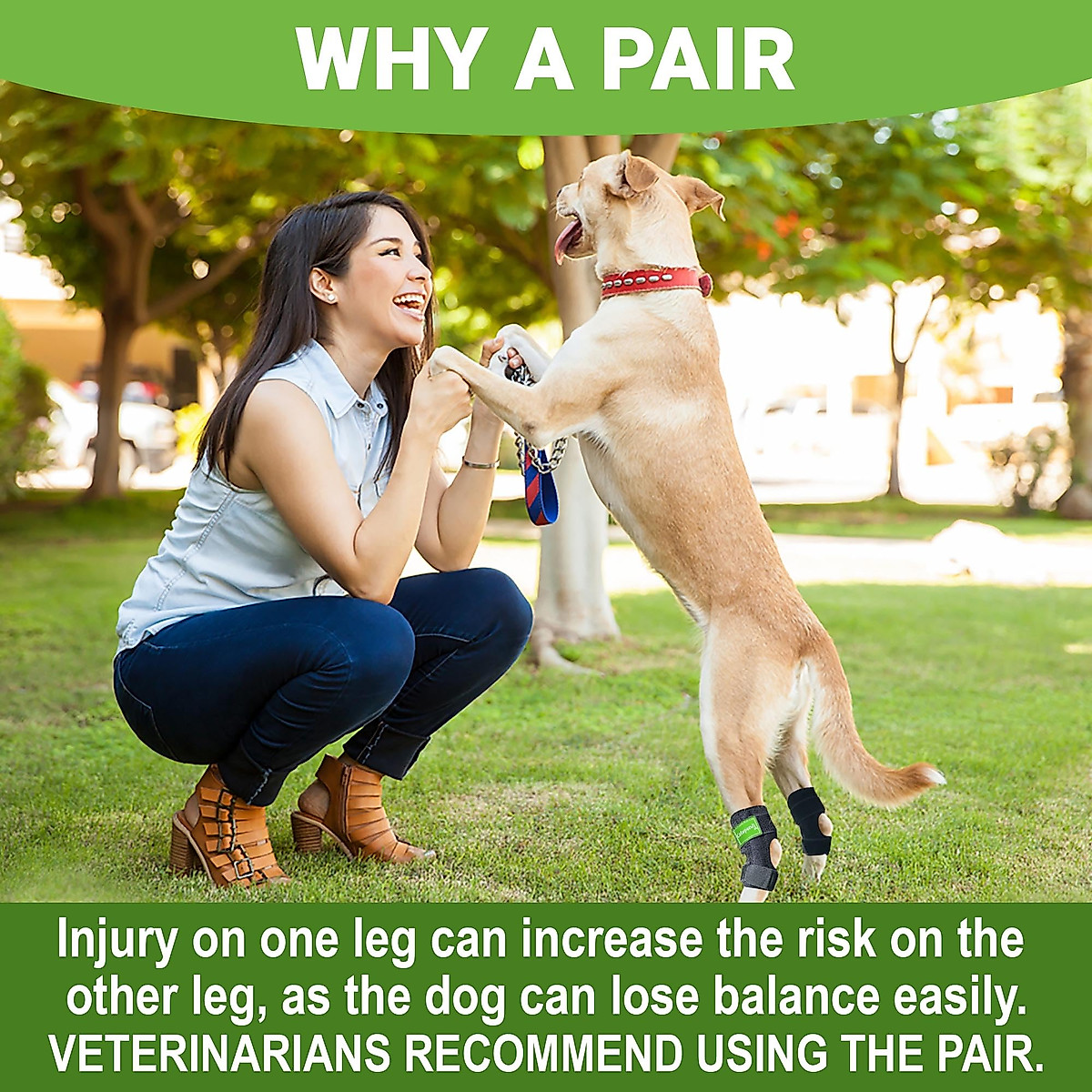 CATUPUNIS 2PCS Dog Braces for Back Leg for Support. Dog Arthritis Brace. Hind Leg Support for Dogs. Leg Brace for Dogs Back Leg. Dog Leg Brace. Dog Back Leg Support Brace. Dog Hock Brace Rear Leg (L)